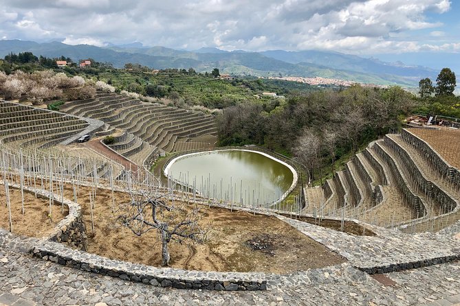 Etna tour 4x4 & Wine Experience in a farm - Discover the Charm of the Etna 4x4 & Wine Experience