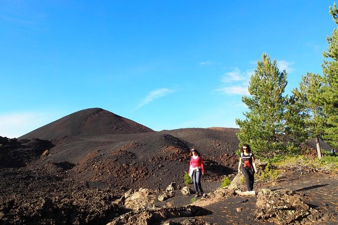 Etna tour 4x4 & Wine Experience in a farm - In-Depth Look at the Etna 4x4 & Wine Experience