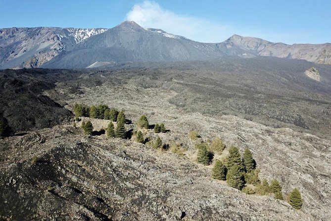 Etna tour 4x4 & Wine Experience in a farm - Final Thoughts: Is This Tour Worth It?