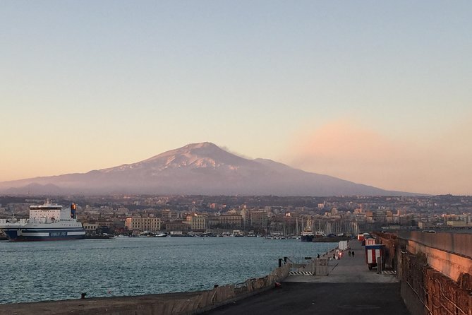 Etna Tour for Cruises (from the port of Catania) - What Travelers Say