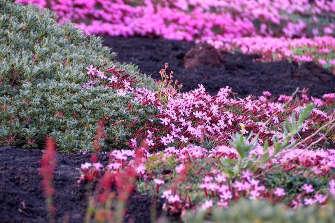 Etna Tour in 4x4 - The Sum Up