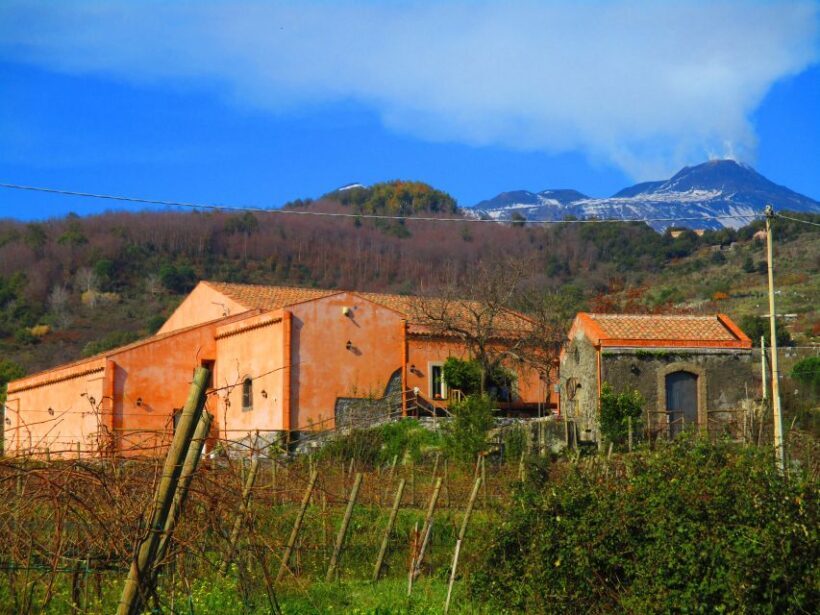 Etna: Tour in a Vintage Car with Cooking Class and Pickup - Practical Details and Value