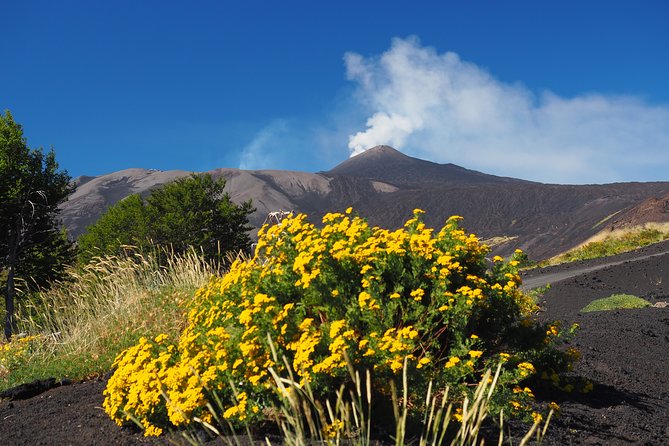 ETNA - Trekking to the Craters Eruption of 2002 - Cancellation Policy and Booking Flexibility