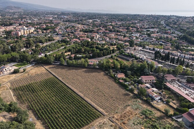 Etna Urban Winery - Tasting with Street Food Platter and vineyard - Why This Tour Stands Out