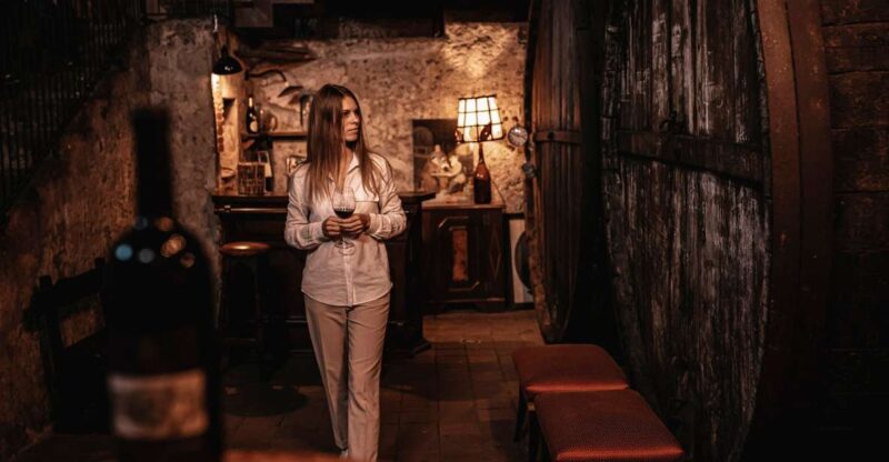 Etna: Urban Winery, Vineyards Walk & Wine Tasting at Sunset - A Detailed Look at the Experience