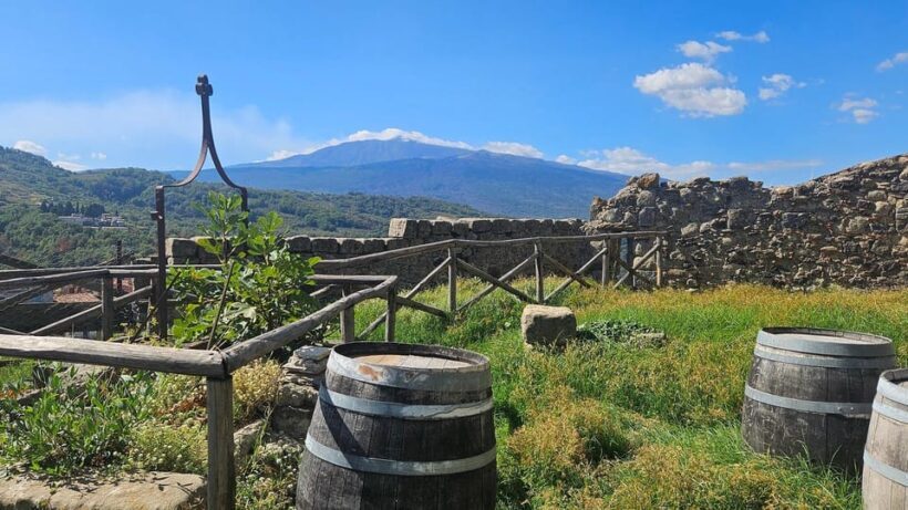 ETNA VILLAGES: OIL & RICOTTA TASTING with Lunch - Key Points