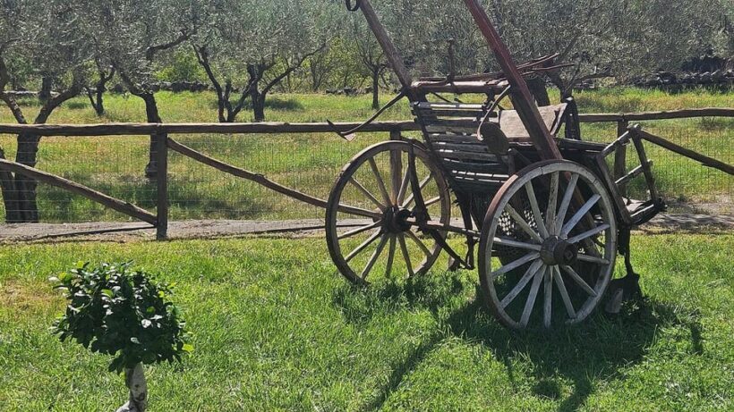 ETNA VILLAGES: OIL & RICOTTA TASTING with Lunch - Introduction: What’s in Store on This Sicilian Day Out