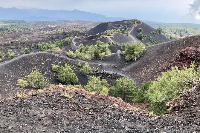 Etna, Wine and Alcantara Tour - From Taormina - A Closer Look at the Tour Experience