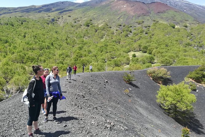 Etna, Wine and Alcantara Tour - From Taormina - Who Is This Tour Best For?