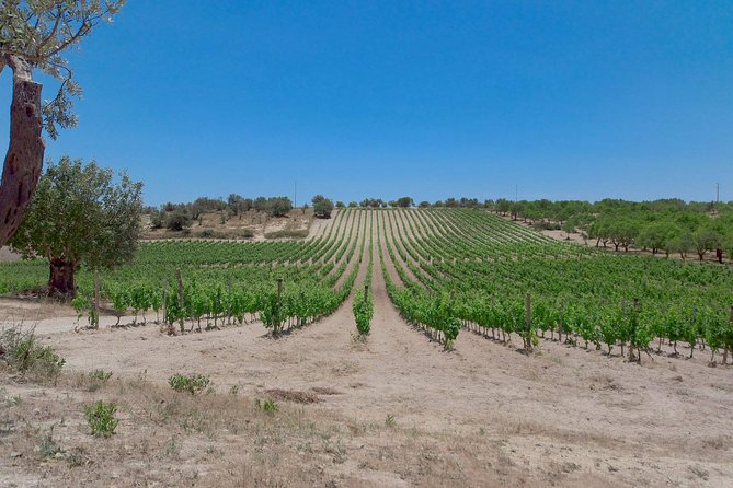 Etna Wine and Food Volcanic Weekend Immersion Tour (Private Experience) - Taormina and Mt. Etna Exploration