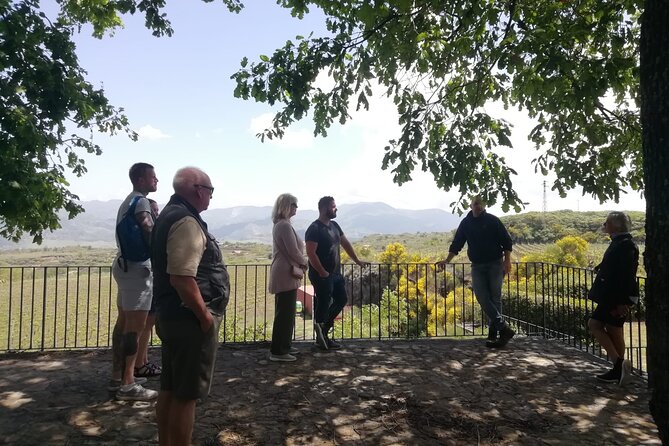 Etna Wine And Taormina From Messina - Health and Safety Considerations