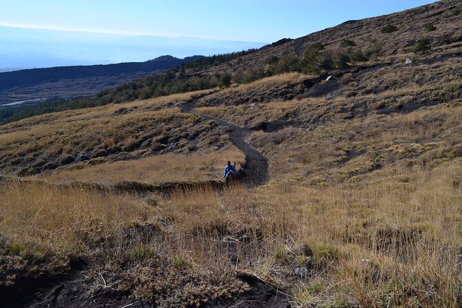 Etna Wine: discovering the volcano & enjoying a wine tasting - Walking Among Craters Silvestri