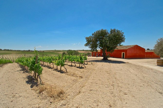 Etna Wine & Food Volcanic Week Grand Tour (Private) - FAQ