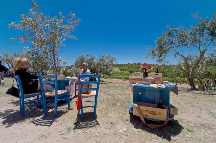 Etna & Wine Private Day Tour - A Thorough Look at the Itinerary and Experiences