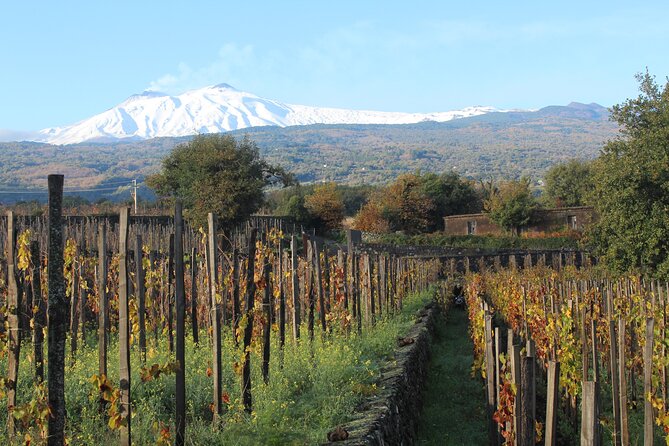 Etna Wineries Tour Review: A Taste of Sicily - Exploring the Volcanic Landscape