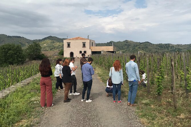 Etna Wineries Tour - Small Groups From Taormina - Inclusions and Logistics