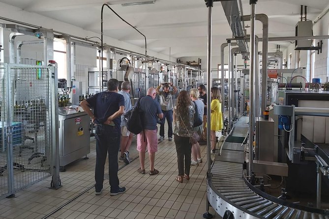 Etna Wineries Tour - Small Groups From Taormina - Exploring the Wineries