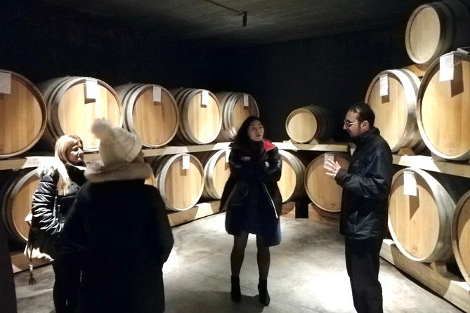 Etna Wineries Tour - Small Groups From Taormina - Savoring the Sicilian Cuisine