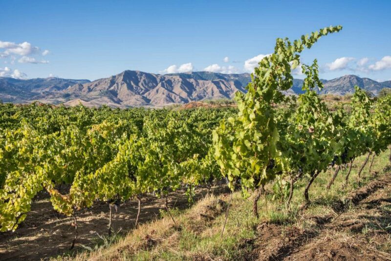 Etna Winery Wine & Food Tasting Private Tour - Key Points: