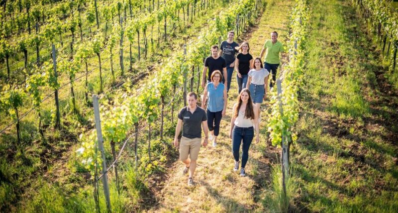 Etna Winery Wine & Food Tasting Private Tour - Who Should Consider This Tour?