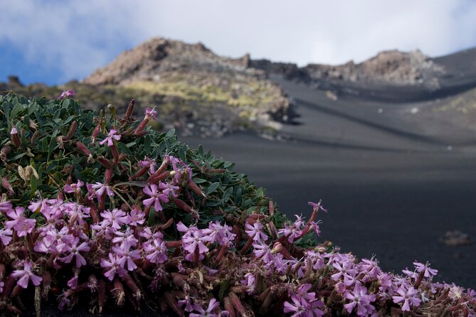Etnas Hidden Gems - Trek Valle Bove & Lava Tunnel With Gear - Gearing Up for the Adventure