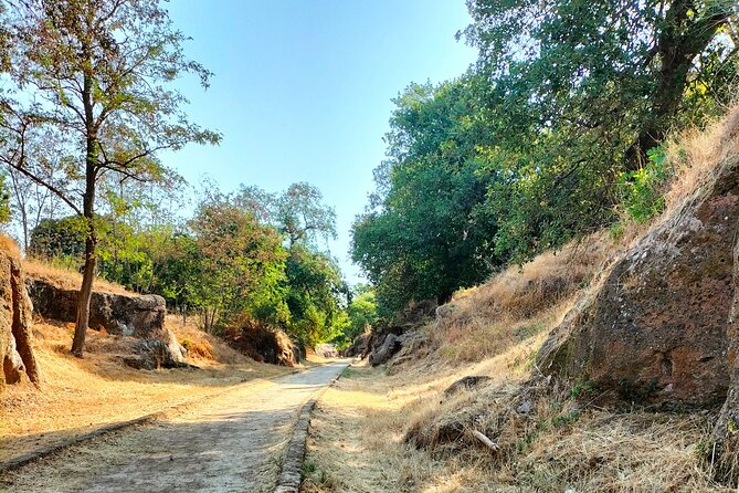 Etruscan Countryside Lake and Fortress Tour from Civitavecchia - Why This Tour Offers Good Value