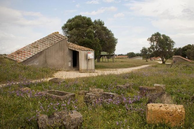 Etruscan Wonders (Driver Only/Self Touring) - Key Points