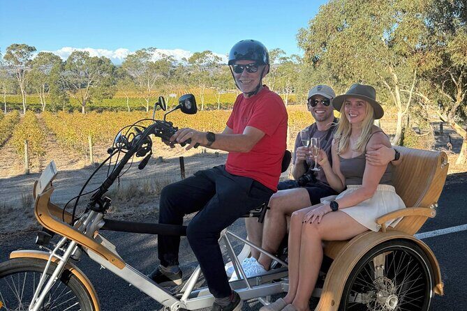 eTukTuk Adventure from Oxenberry Farm in McLaren Vale - An Honest Look at the eTukTuk Adventure in McLaren Vale