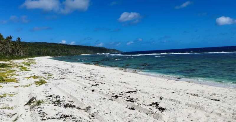 Eua Southside Adventure Day Tour with light lunch - Who Is This Tour Best For?