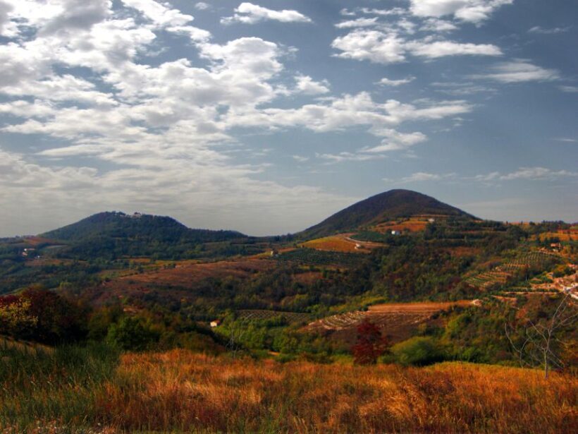 Euganean Hills Guided Wine Tour with Tasting From Padua - Key Points