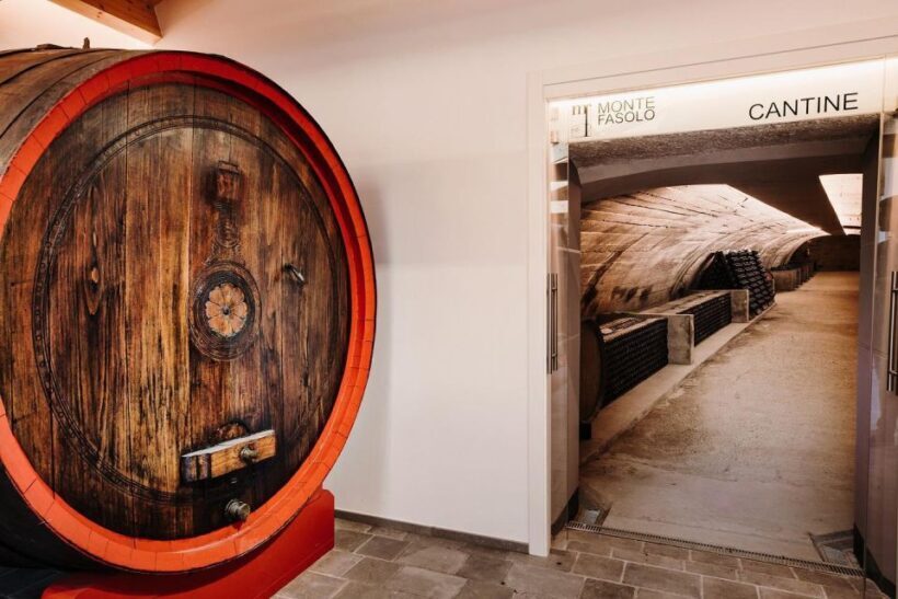 Euganean Hills Guided Wine Tour with Tasting From Padua - The Experience: A Closer Look