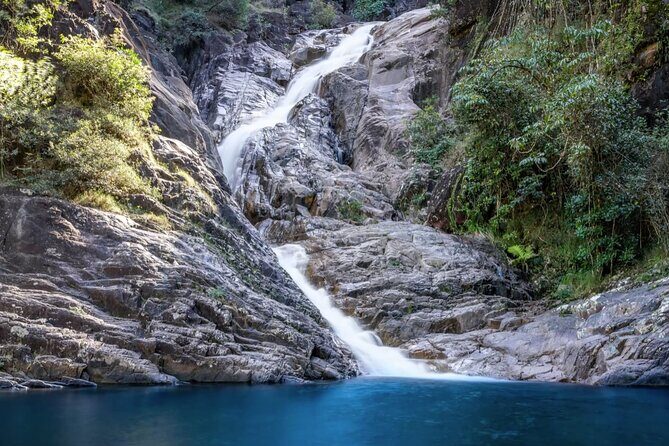 Eungella Platypus Tour - FAQ