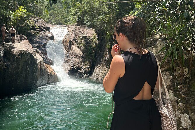 Eungella Platypus Tour - An In-Depth Look at the Eungella Platypus Tour