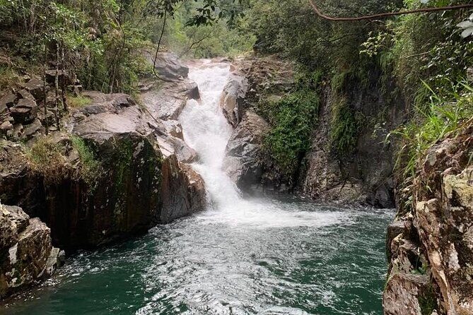 Eungella Platypus Tour - Who Will Love This Tour?