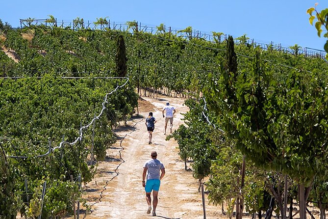 EUPHORIA - Vineyard Tour & Wine Tasting - Key Points