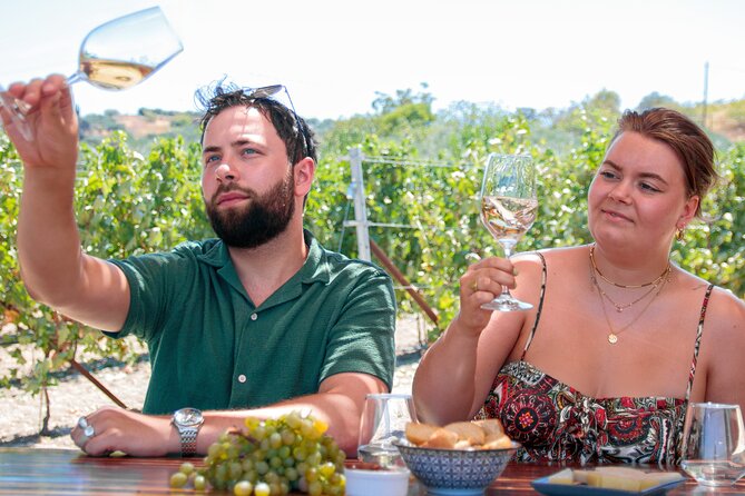 EUPHORIA - Vineyard Tour & Wine Tasting - Cretan Rusks and Cheeses Served
