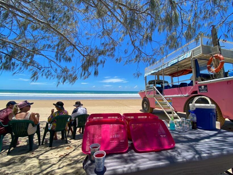 Eurimbula National Park Tour: Picnic on the Beach - Wildlife and Birdwatching Opportunities