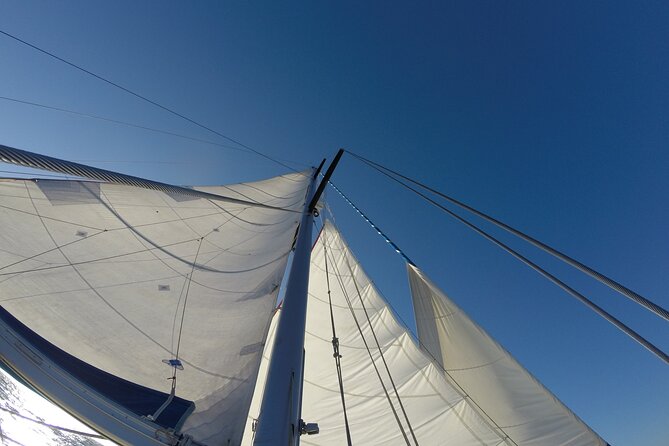 Evasion at sea, private experience for your tribe. Morning - Who Should Consider This Tour?