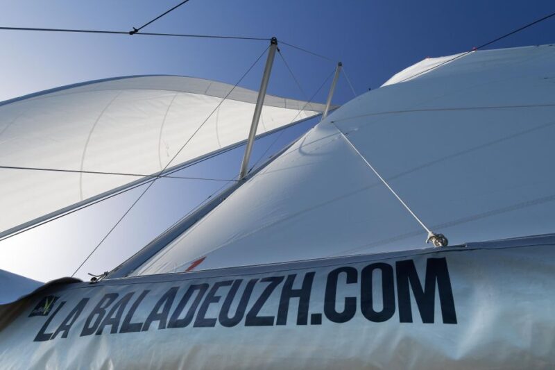 Evening aperitif cruise at the entrance of Morbihan's Gulf - The Highlights of the Sailing Experience