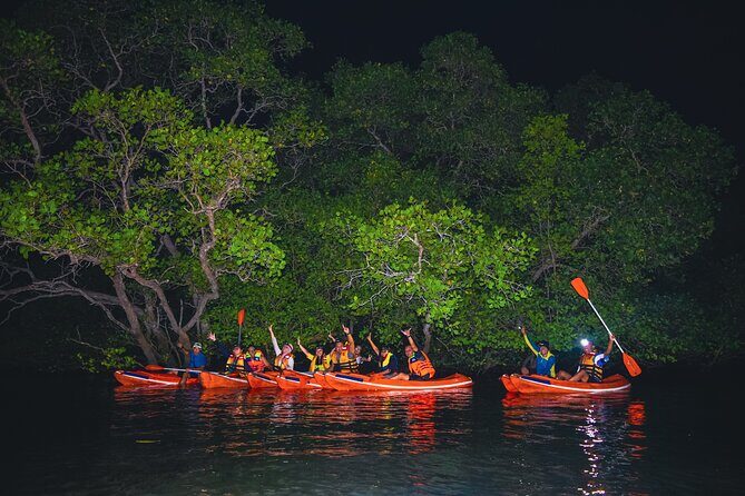 Evening Bali Mangrove Canoe Tour - Practical Tips for Travelers