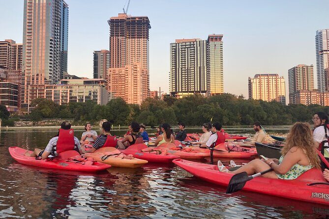 Evening Bat Watching Kayak Tour - An In-Depth Look at the Experience