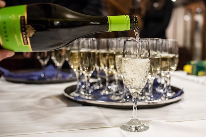 Evening Cruise on the Danube With Optional Drinks - Additional Details