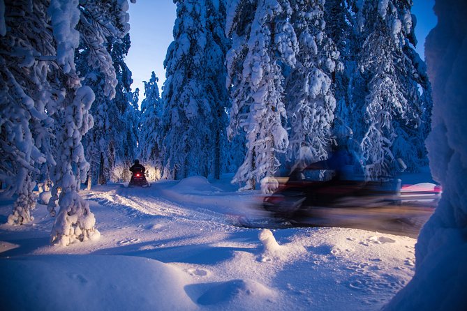 Evening Escape - Snowmobile Safari and Campfire in Rovaniemi - Arctic Wilderness Adventure