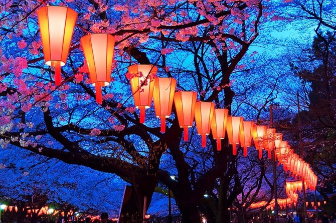Evening Hanami (Cherry Blossom) Experience With a Local - Getting the Most Out of Your Hanami Adventure