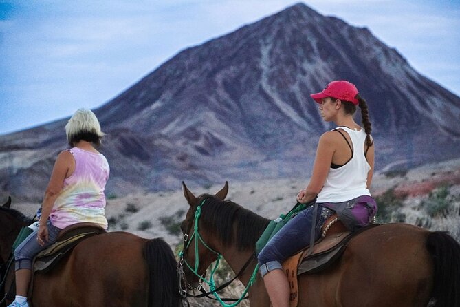 Evening Horseback Ride in Las Vegas - Who Should Consider This Tour?