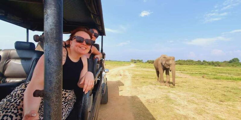 Evening Minneriya National park safari with Pickup and drop - Final Thoughts: Is This Safari for You?
