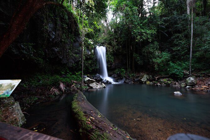 Evening Rainforest & Glow Worm Tour from Gold Coast - Final Thoughts