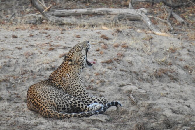Evening Safari - Yala National Park with Janaka safari - 02.00 pm to 06.30 pm - Final Thoughts