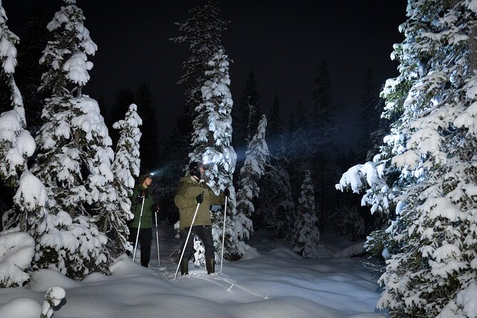 Evening Ski Trek to the Wilderness - Extra Small group - An Authentic Nighttime Ski Adventure in Rovaniemi