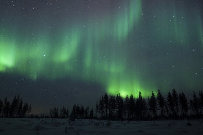 Evening Ski Trek to the Wilderness - Extra Small group - The Unique Appeal of Night Skiing in Wilderness